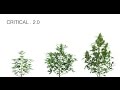 Critical + 2.0 Autoflowering – Purchase Critical + 2.0 Autoflowering ...
