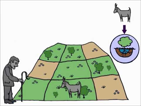 What is a tipping point?