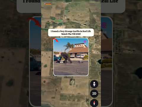 I Found a Very Strange Gorilla In Real On Google Map And Earth #shorts #findmapsecret
