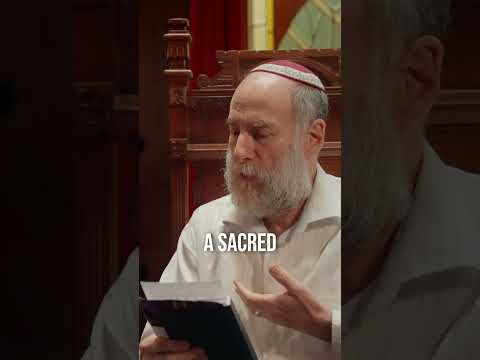 Rabbi Explains Hebraisms