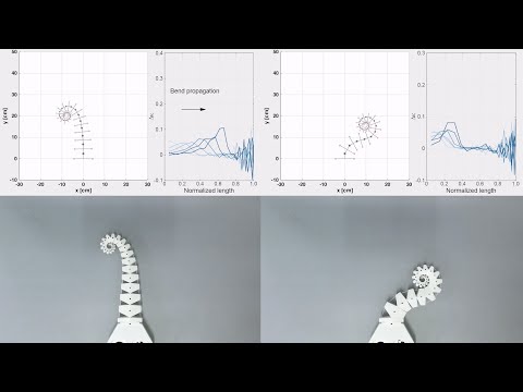 Octopus-like Soft Spiral Robot
