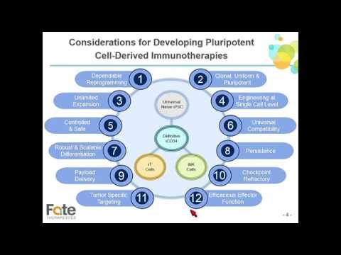 Bob Valamehr - Harnessing Hematopoiesis: Creating the Ideal Platform for Large-Scale iPSC Expansion