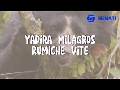 Trabajo final Senati inglés