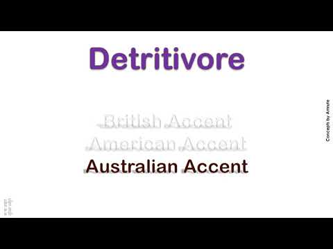 Detritivore How to Pronounce Detritivore in Australian Accent, British Accent, American Accent ?