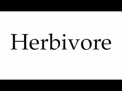 How to Pronounce Herbivore