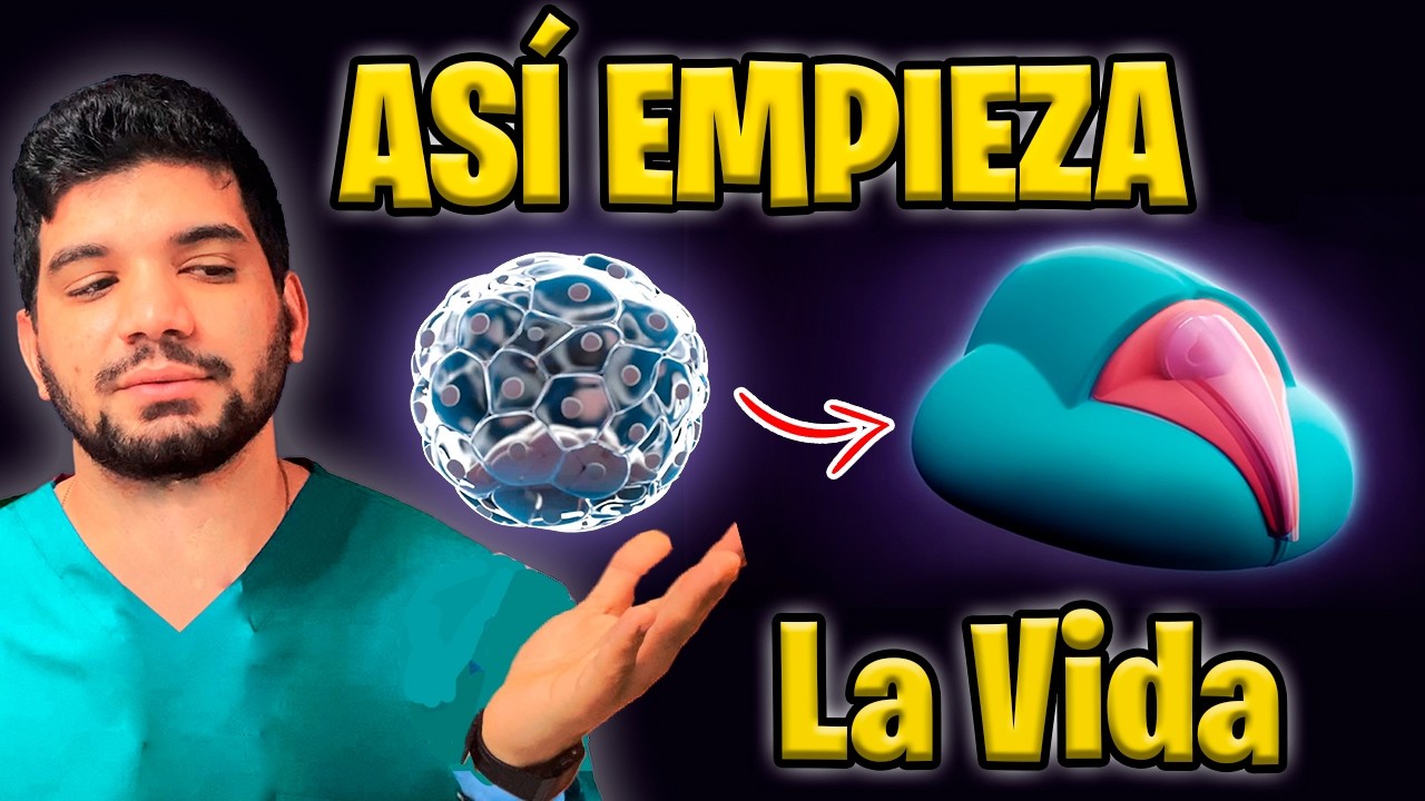 GASTRULATION | Embryonic development | Ectoderm, Mesoderm, and Endoderm