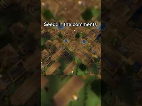 The biggest Minecraft village seed in 2024/2025 OMG😱 #minecraft #seeds #minecraftseeds