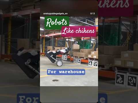 Robots Like Chikens For Warehouses