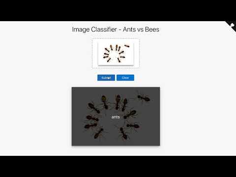 GitHub - paolodavid/CNN-Binary-Classification-Ants-VS-Bees-PyT: Convolutional Neural Network(CNN ...