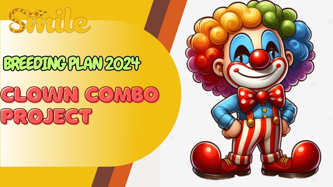 Breeding Plan 2024 Ball Python - Clown Combo Project