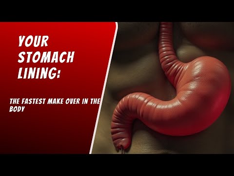 Your stomach lining the fastest makeover in your body