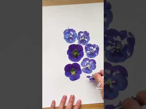 Eco print on paper made with Pansy and Fern. Hammered flowers art.
