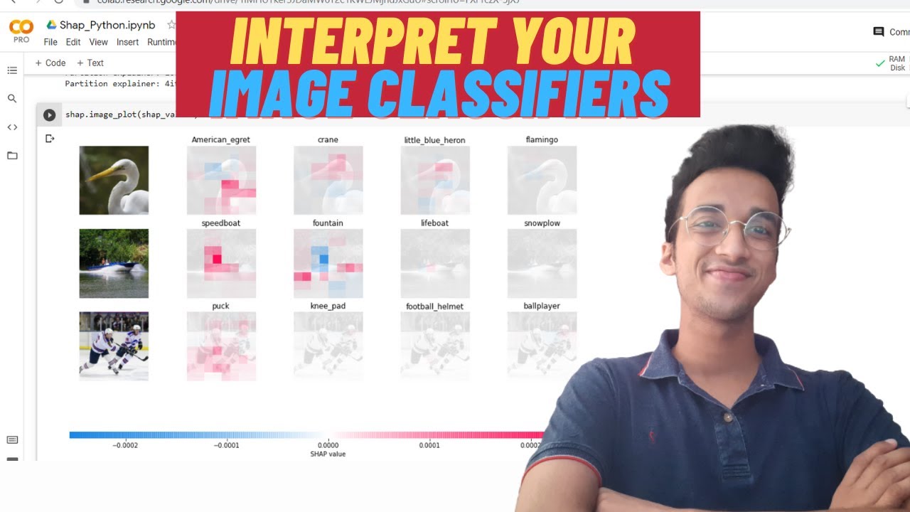 Interpret & Visualize Your Image Classification Models| Python Tutorial|