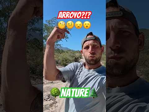 What The Heck is An ARROYO?!