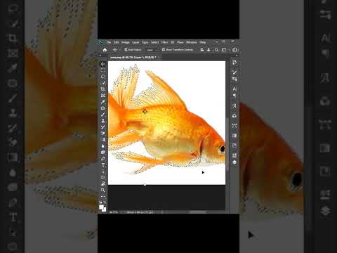 Remove Fake PNG Background in Photoshop | PHOTOSHOP TRICK | #shorts #editing #7hawkgraphic #yt