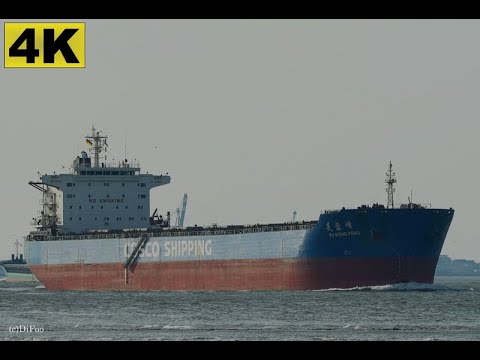4K | FU RONG FENG - Shipspotting Elbe naer Otterndorf - 4K VIDEO 👍🏻