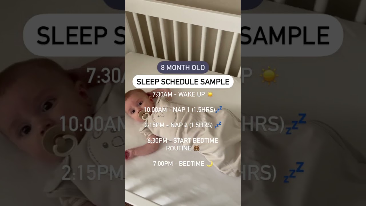 Sample Sleep Schedule for babies 8m! 💤