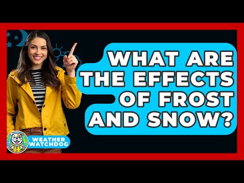 What Are The Effects Of Frost And Snow? - Weather Watchdog