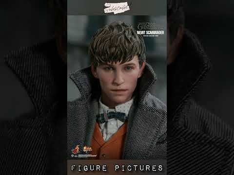 HOT TOYS : NEWT SCAMANDER ( FANTASTIC BEAST AND WHERE TO FIND THEM ) 1/6 FIGURE - PICTURES