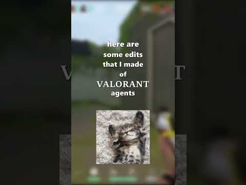 Valorant agents edited as cats