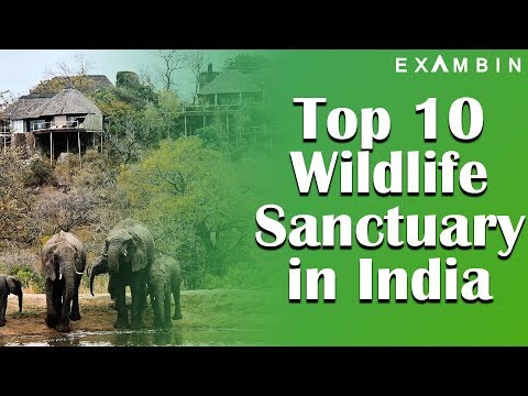 Top 10 Wildlife Sanctuaries in India UPSC | Wildlife Sanctuary and National Parks Series - 3