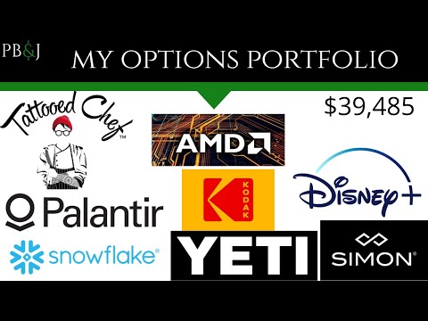 My Options Portfolio 22DEC. New Rona and Stimulus is coming.