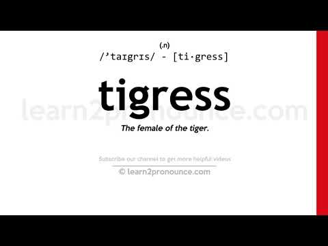 Pronunciation of Tigress | Definition of Tigress