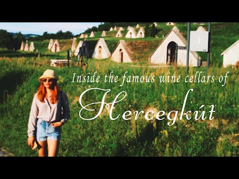 WINE TASTING IN A UNESCO WORLD HERITAGE CELLARS. #winecellars #hercegkut