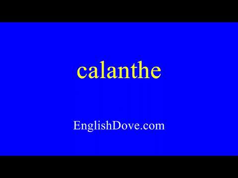 How to pronounce calanthe in American English