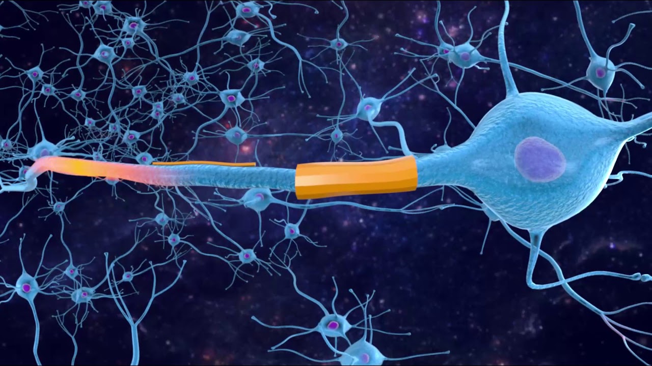 CogniScience VR Video