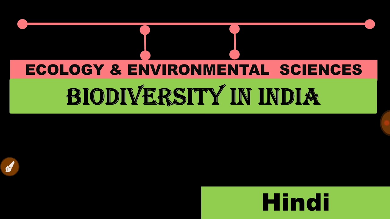 Biodiversity in India| Mind mapping