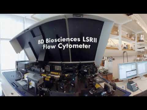 360-video tour of USC's stem cell research center