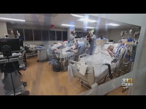 University Of Maryland School Of Nursing Allowing Students To Graduate Earlier In Effort To Battle C