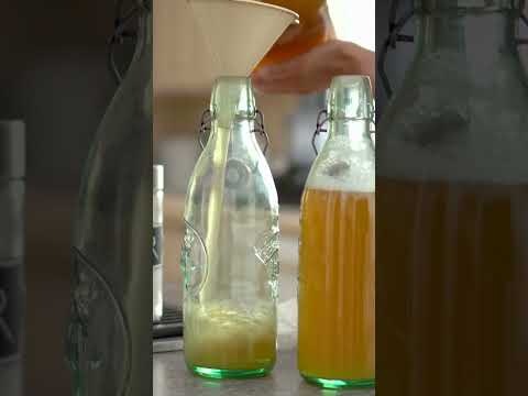 "The Elixir of Life: Is Kombucha đ§ Really Ancient?"