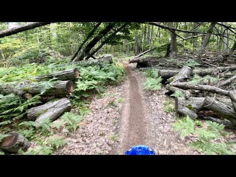 Ultimate Guide to Dirt Bike Trails in Michigan | Big O