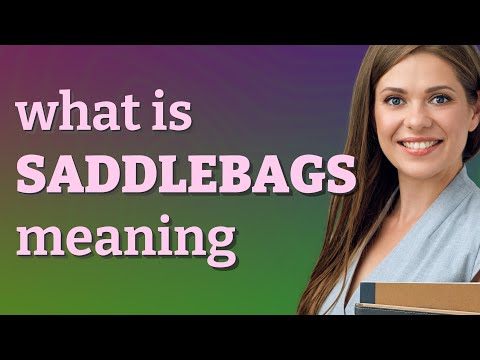 Saddlebags | meaning of Saddlebags