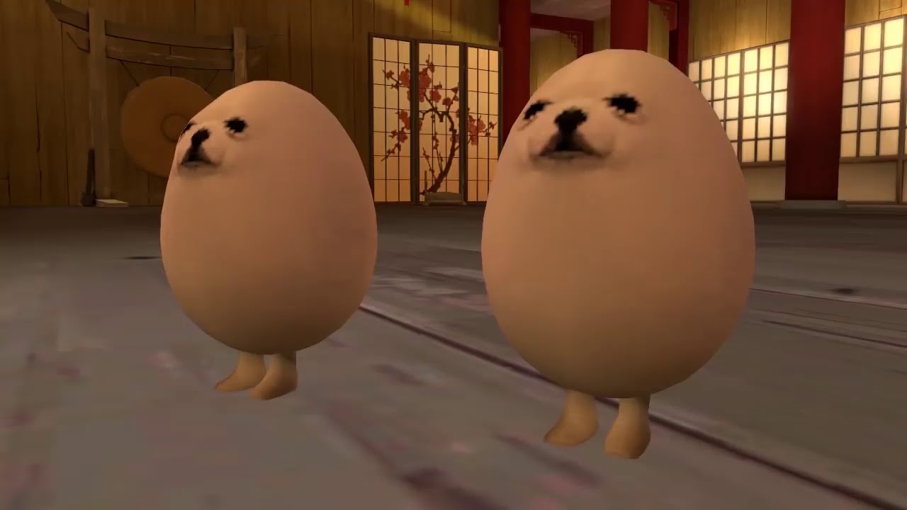 meet eggdog for 10 hours
