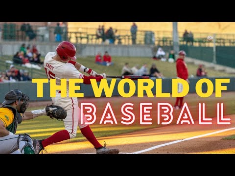 "the world of baseball in hindi" 😱⚾ @dhruvrathee @salmank5218