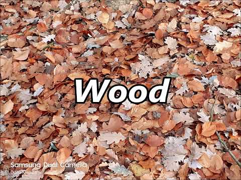 WOOD as Family Name Meaning and Origin
