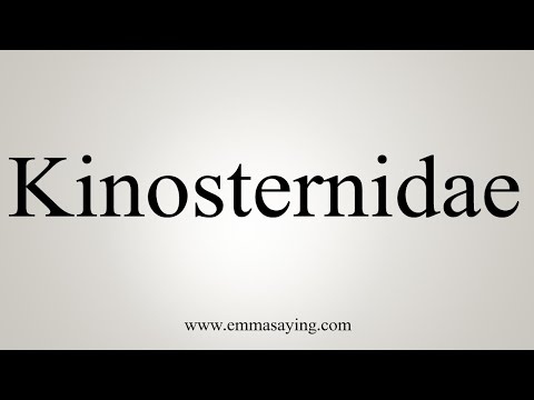 How To Say Kinosternidae