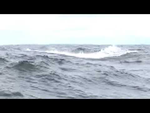 Big Seas - WiTHiN sea trials #2