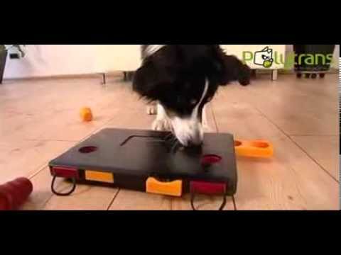 JEUX EDUCATIFS Dog Activity pour chien chez Polytrans