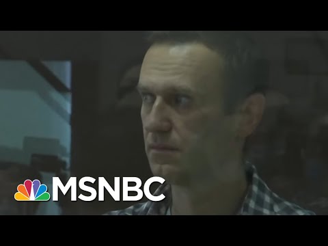 Alexei Navalny's Instagram Account Posts Photo From Russian Prison Camp | Ayman Mohyeldin | MSNBC