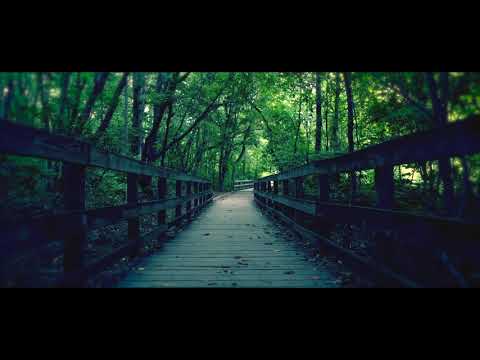 What did Smyrna, Delaware detective Michael Kealty distribute on ...