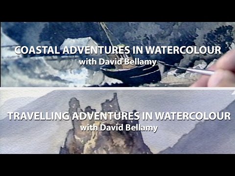 David Bellamy Twin Pack (1)