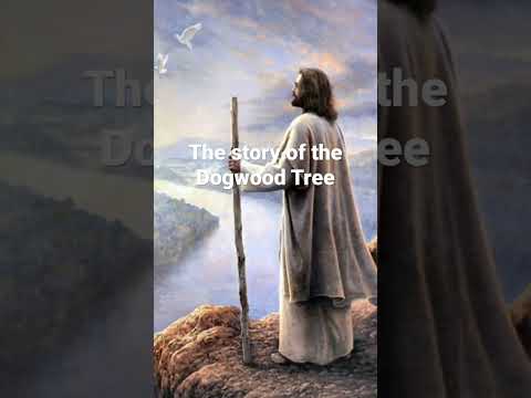 The story of the dogwood tree #lord