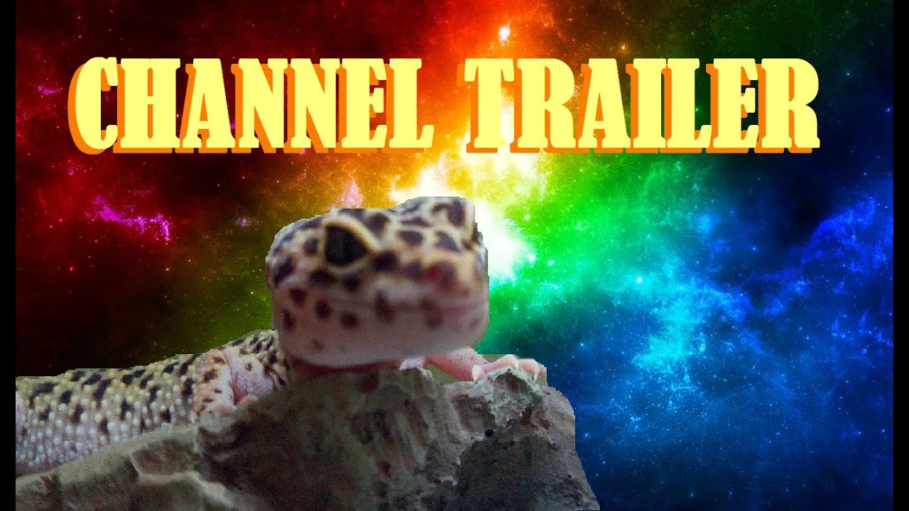 Lizards 101 channel trailer