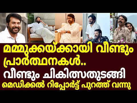 നടൻ മമ്മുട്ടിക്ക് വീണ്ടും ചികിത്സതുടങ്ങി.. പ്രാർത്ഥനയോടെ കുടുംബവും ആരാധകരും/Mammootty latest news /
