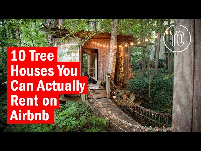 14 Cool Tree Houses You Can Rent All Over America Right Now
