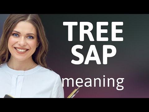 Exploring the Meaning of "Tree Sap"
